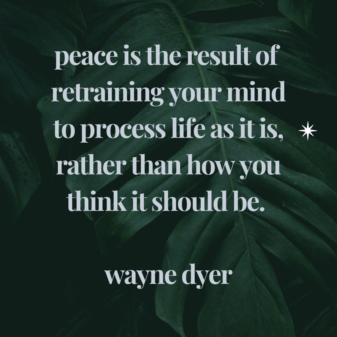 What is Equanimity? – A Grace Full Life