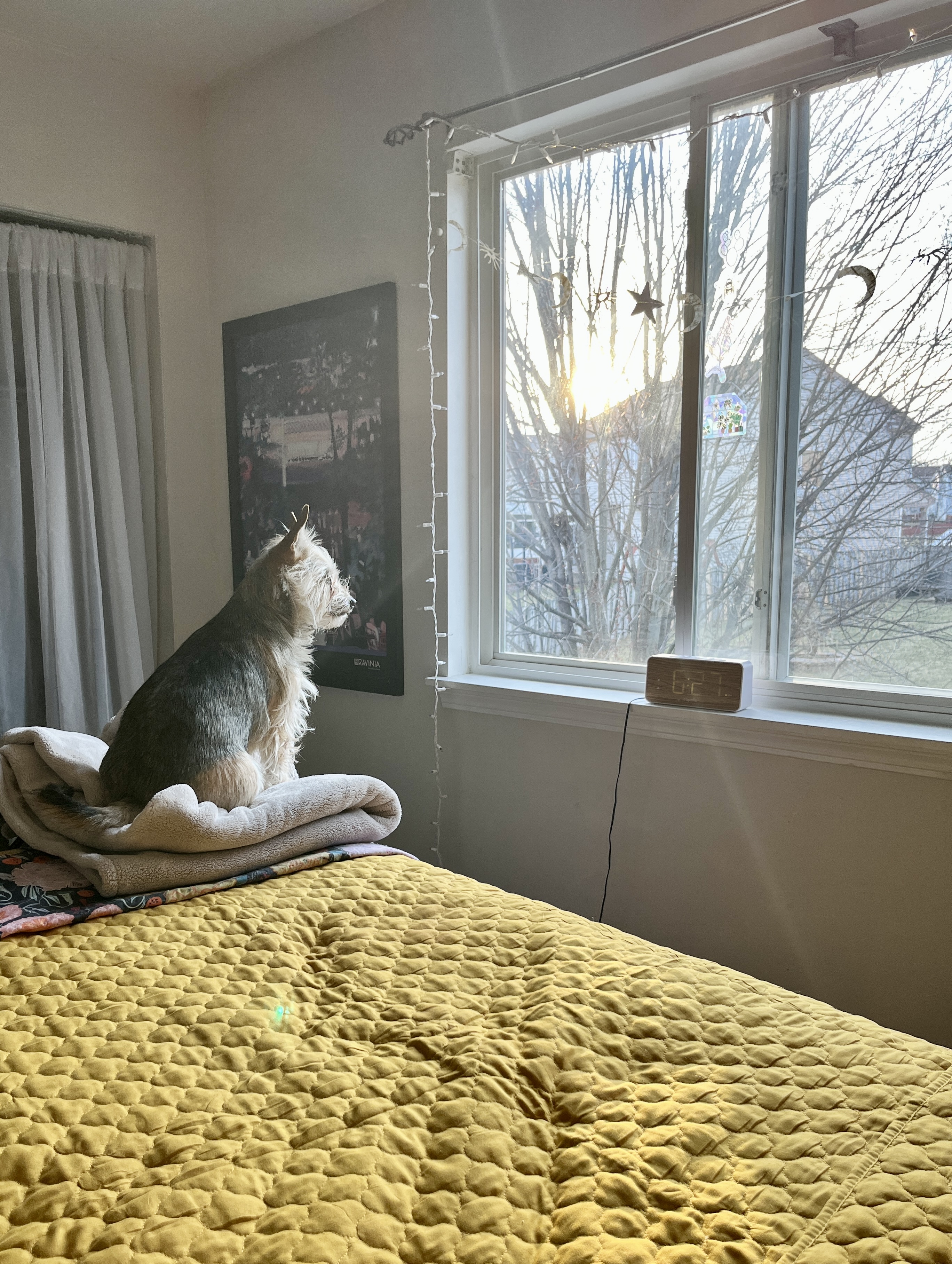 screw it, i’m eating tater tots – episode 73 – A Grace Full Life
