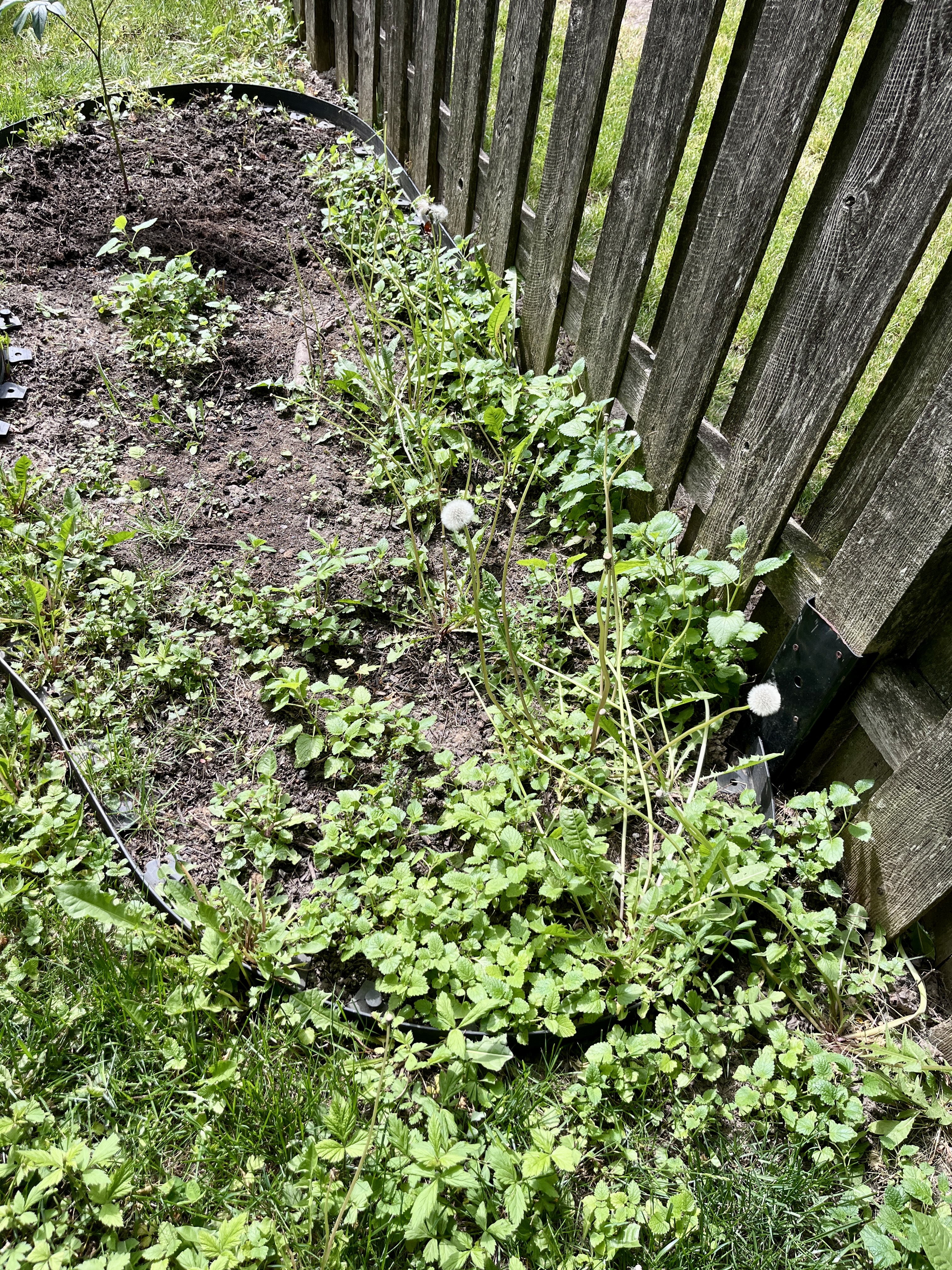 Weeding – A Grace Full Life