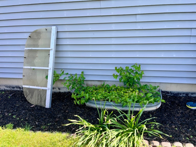 Weeding – A Grace Full Life
